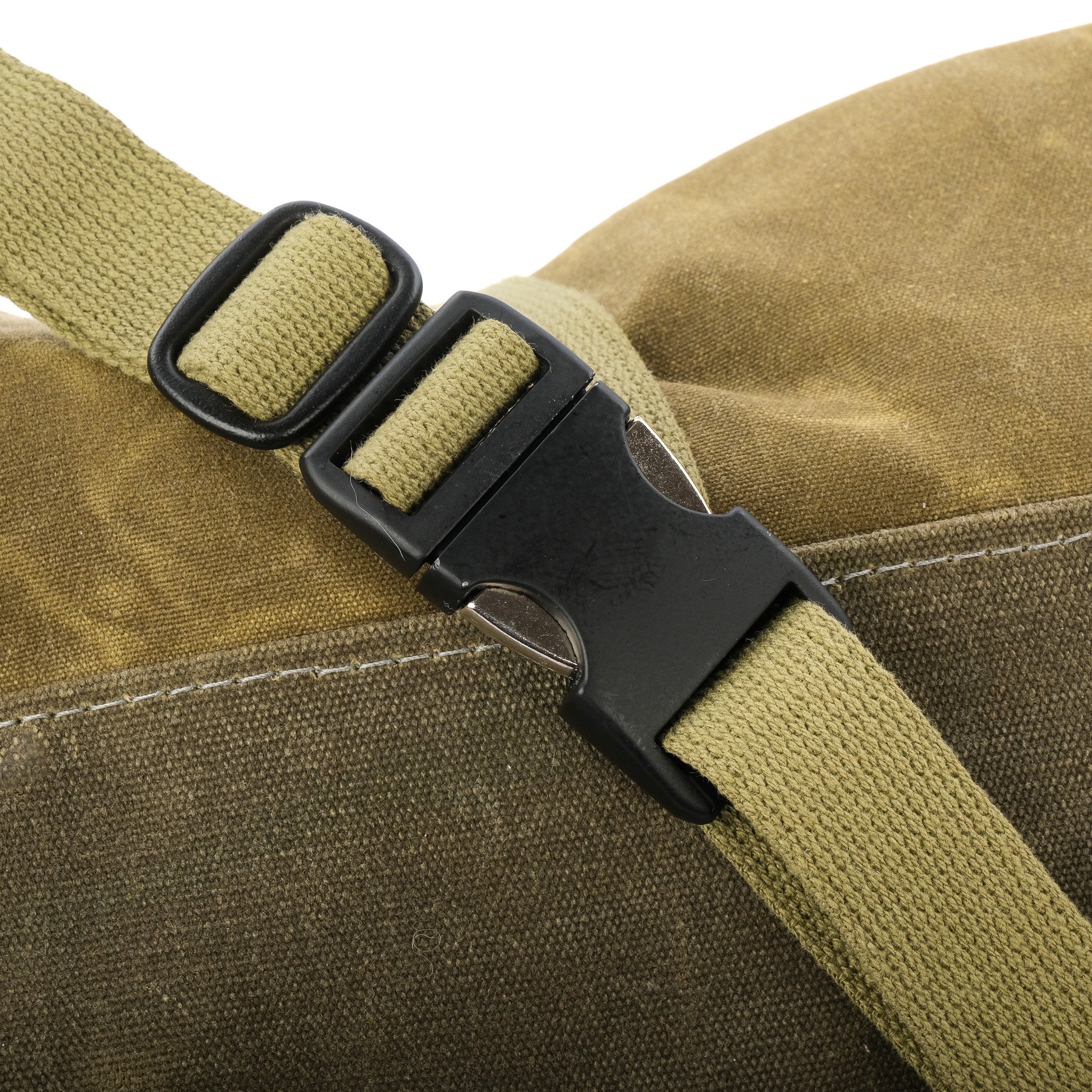 Fifth Season Canvas: Cotton Webbing Belt (Sage Green)
