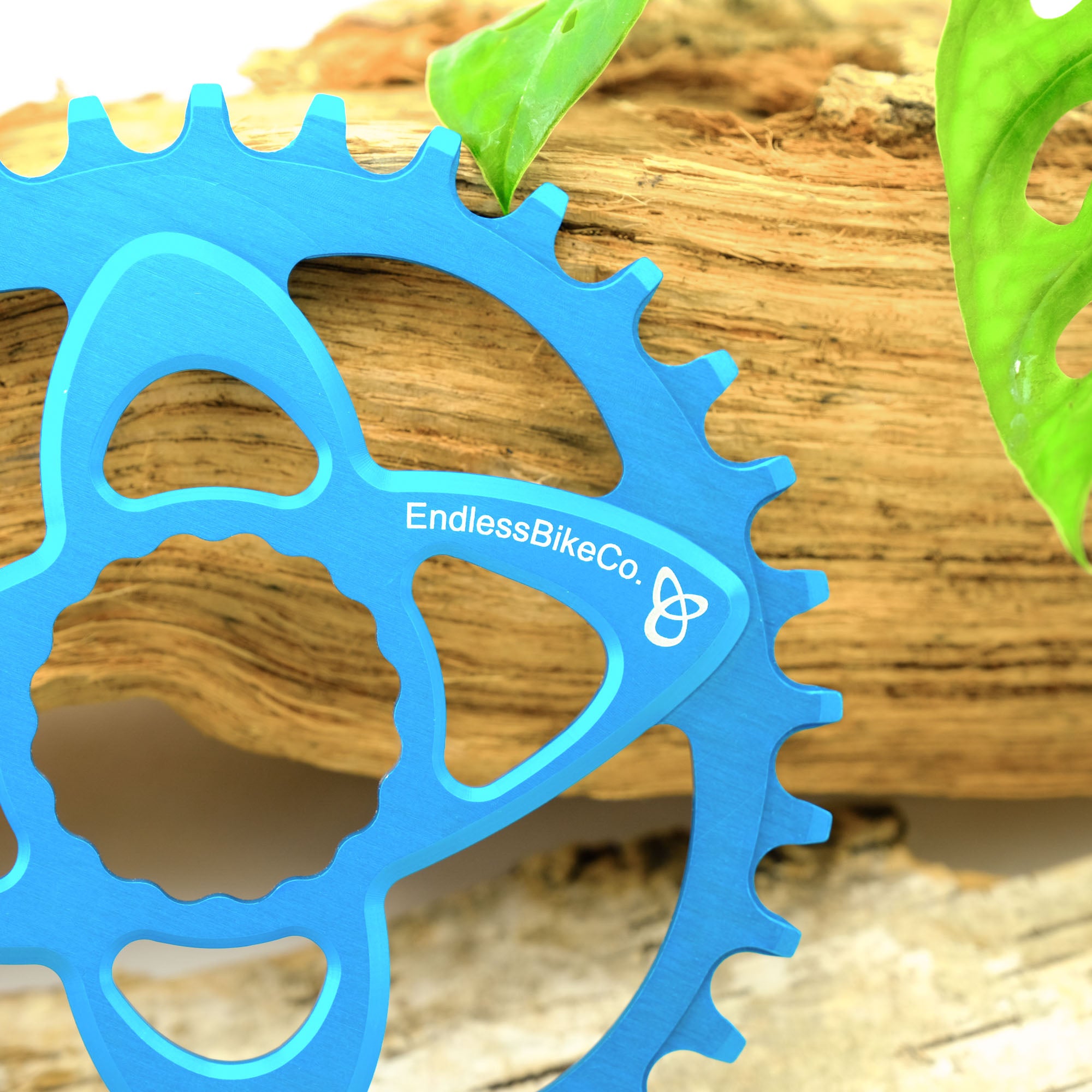 Endless Chainrings